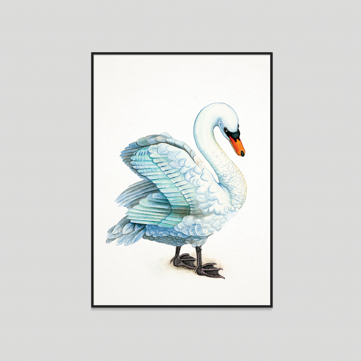 Konsttryck med Svan - Tavla med fågelmotiv av Charlotte Nicolin